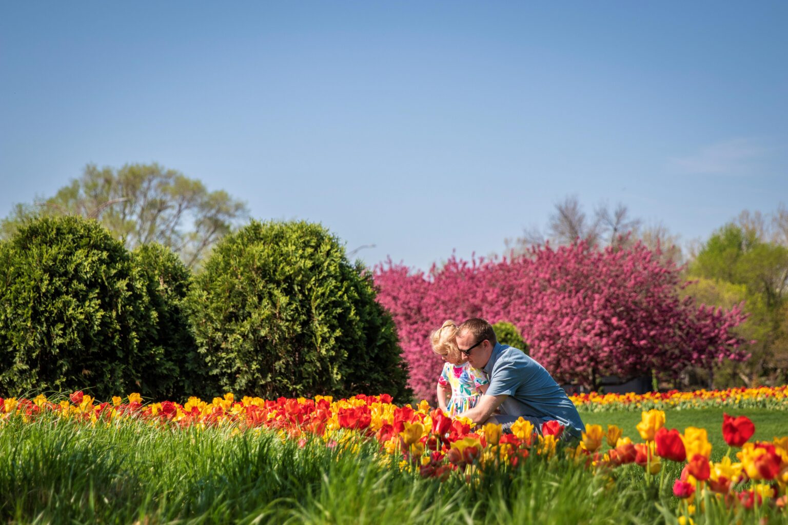 Celebrate Spring at Reiman Gardens - Discover Ames