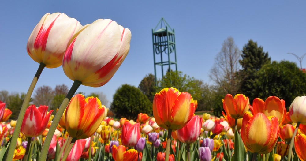 Spend spring in Ames full of beautiful blooms, fun, and more