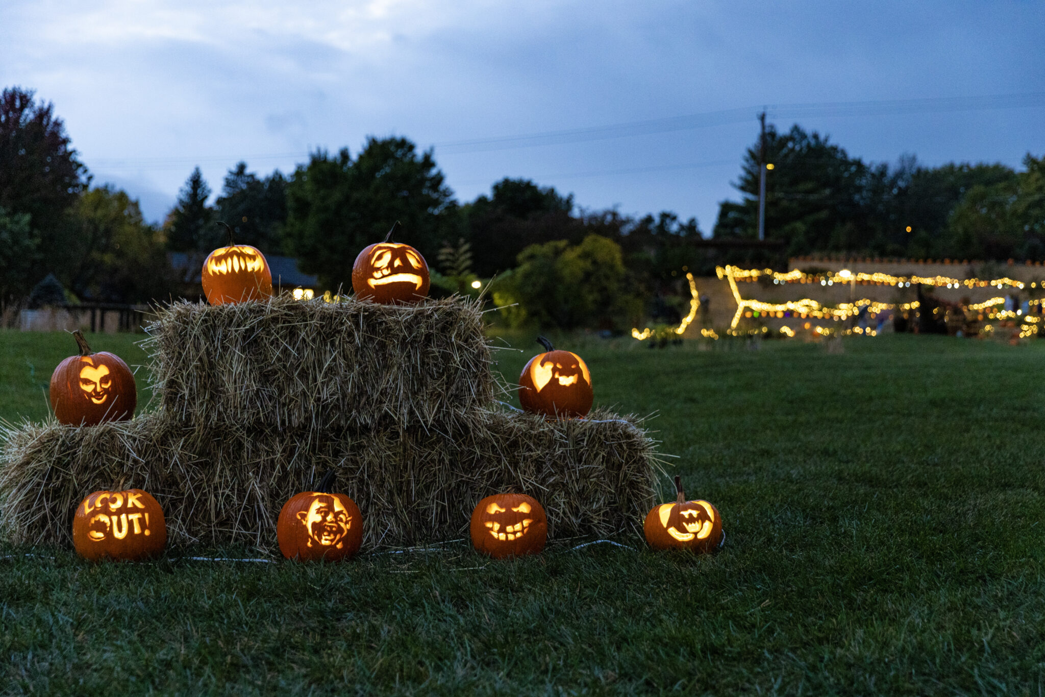 5 places to find fall colors in Ames - Discover Ames