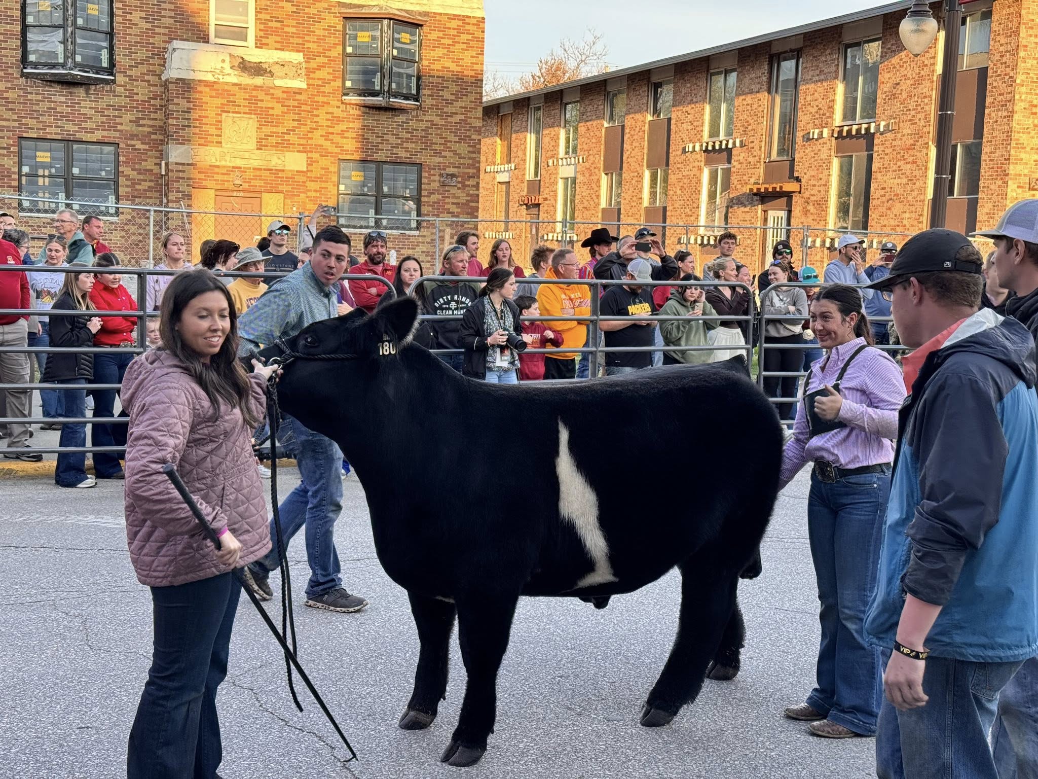 Clouds - Discover Ames