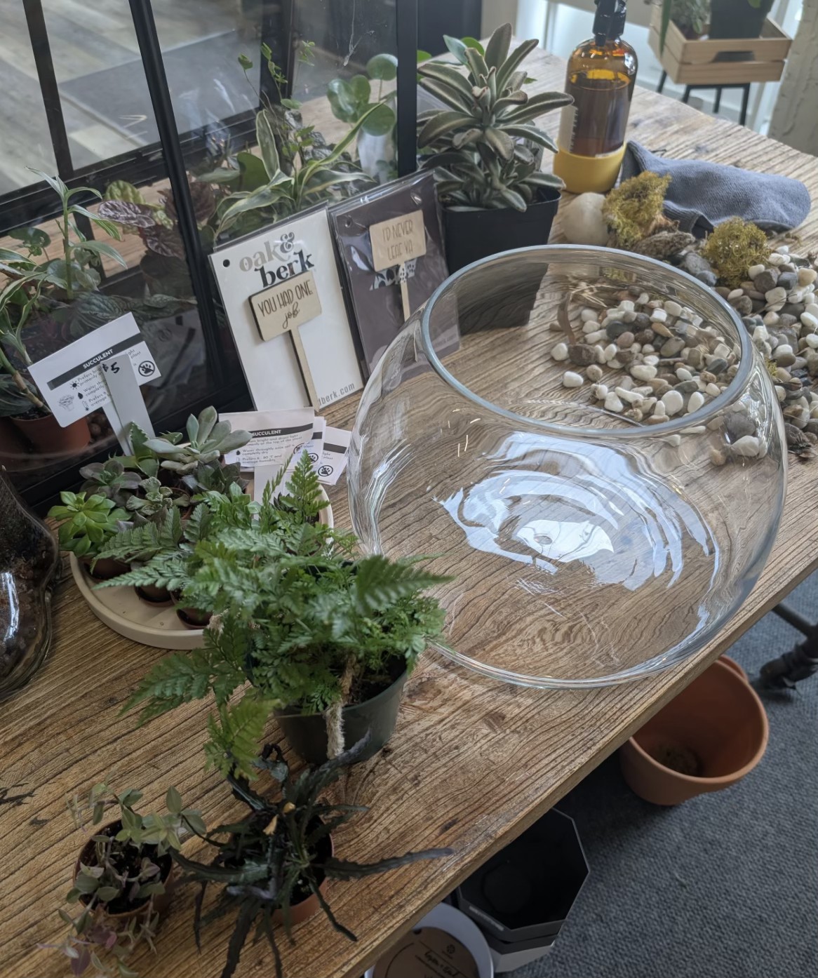 Build Your Own Plant Terrarium - Discover Ames